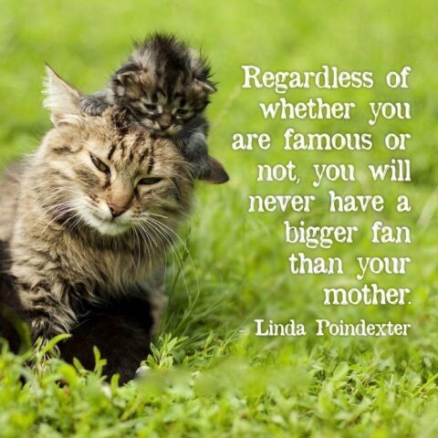 HAPPY MEOWTHER'S DAY! - Nina Mia